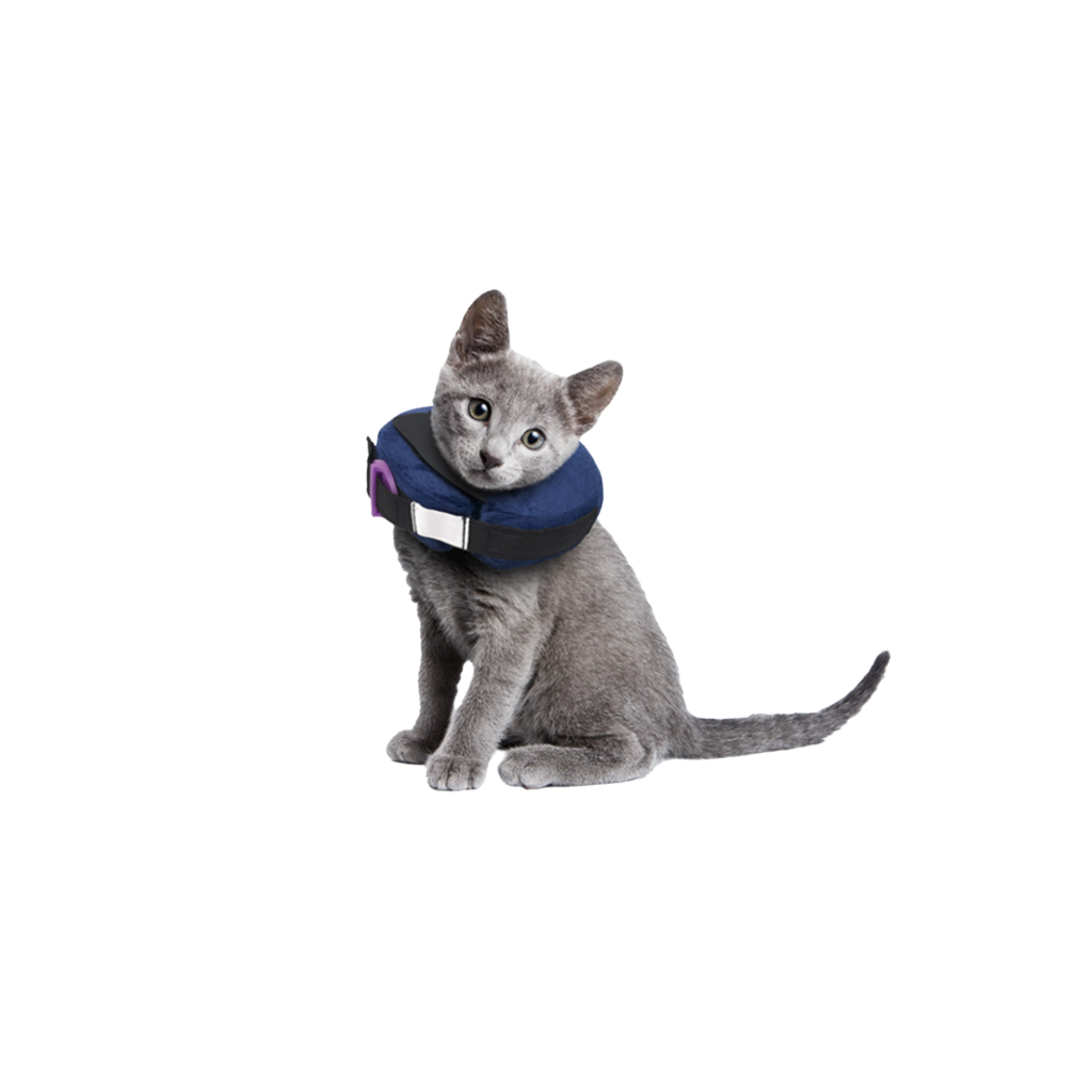 INFLATABLE COLLAR – CATS – Calm Paws