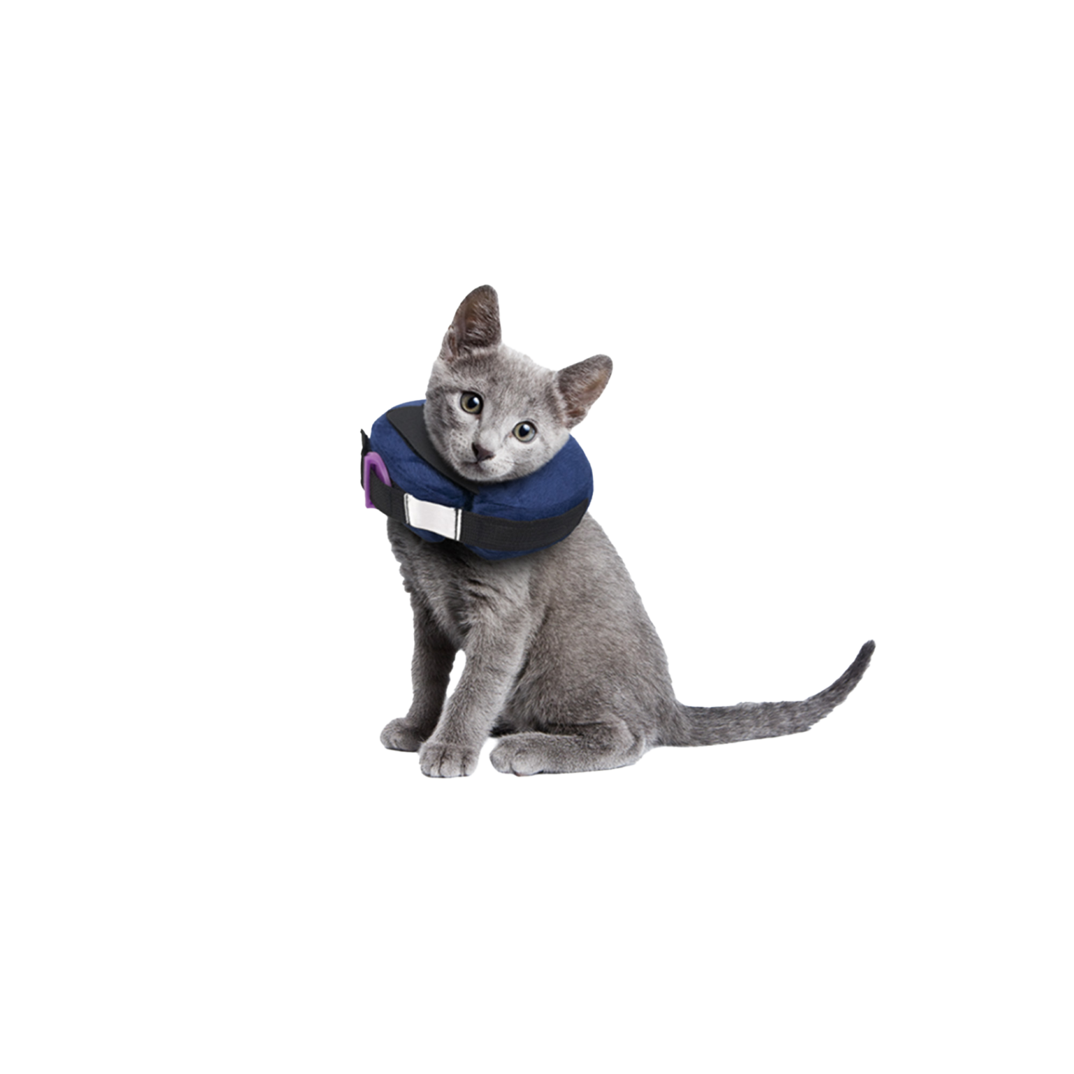 Products – Calm Paws
