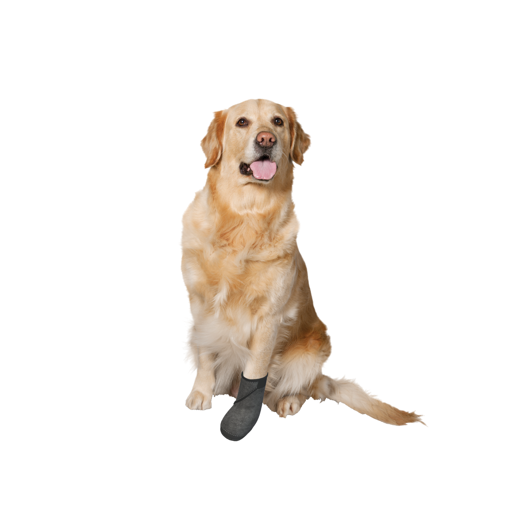 RECOVERY BOOT – Calm Paws