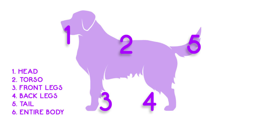 Recovery Solution Tool – Calm Paws